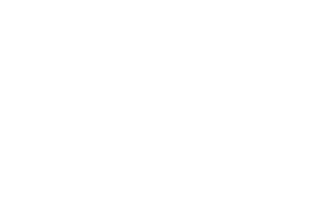 Authentication – General Pharmaceuticals